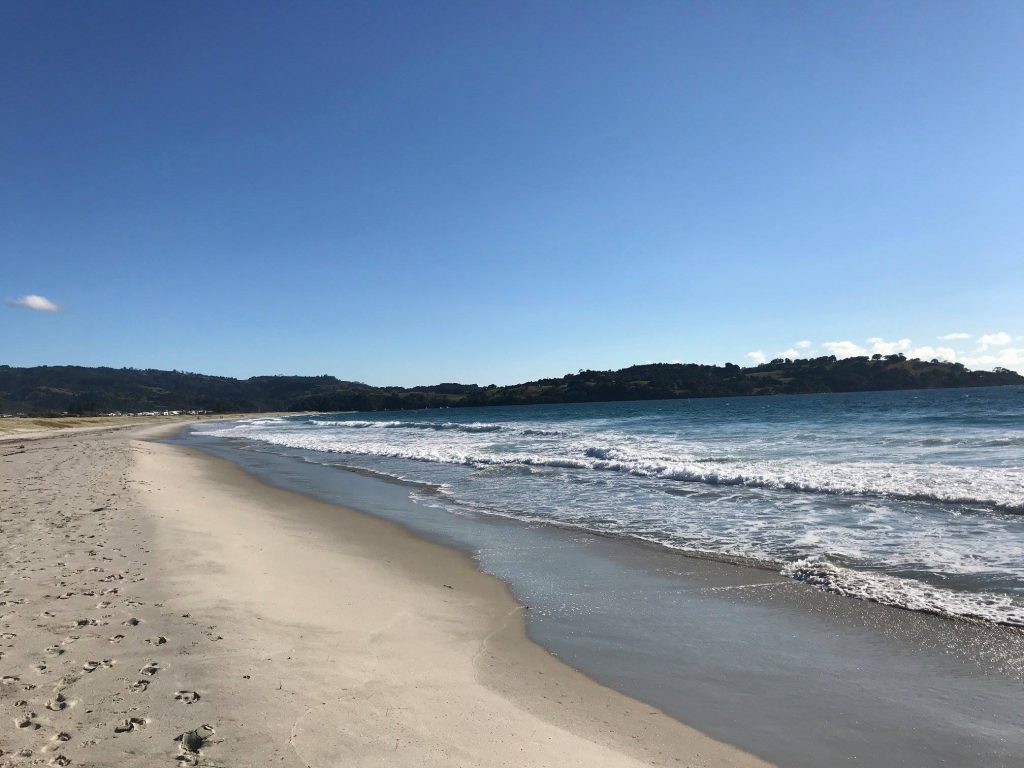 Matakana Coast Real Estate - One Mahurangi